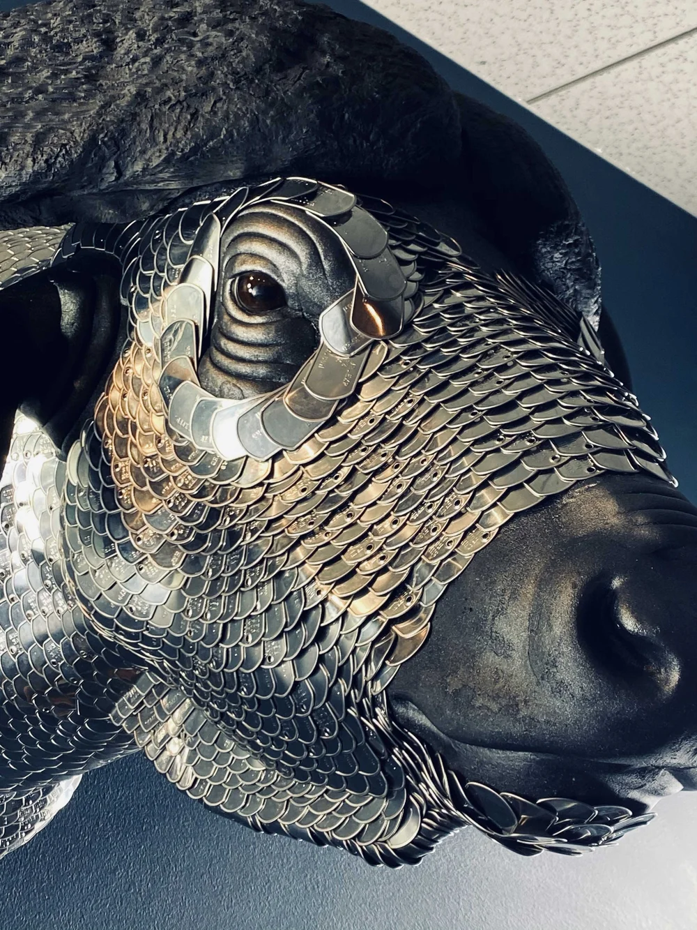 "Xerxes" Cape Buffalo Sculpture — CRYDER MAKES