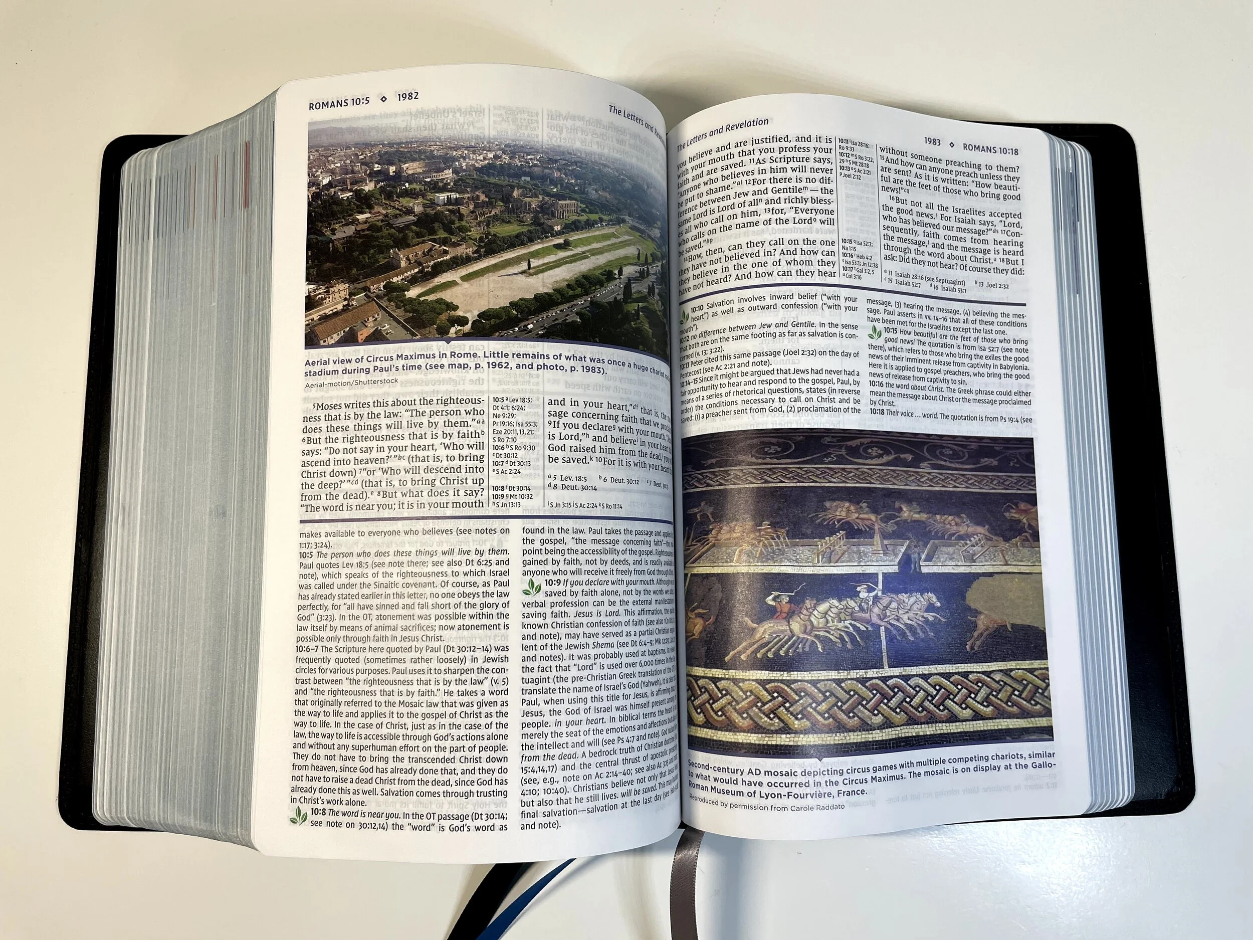 Niv Study Bible Inside