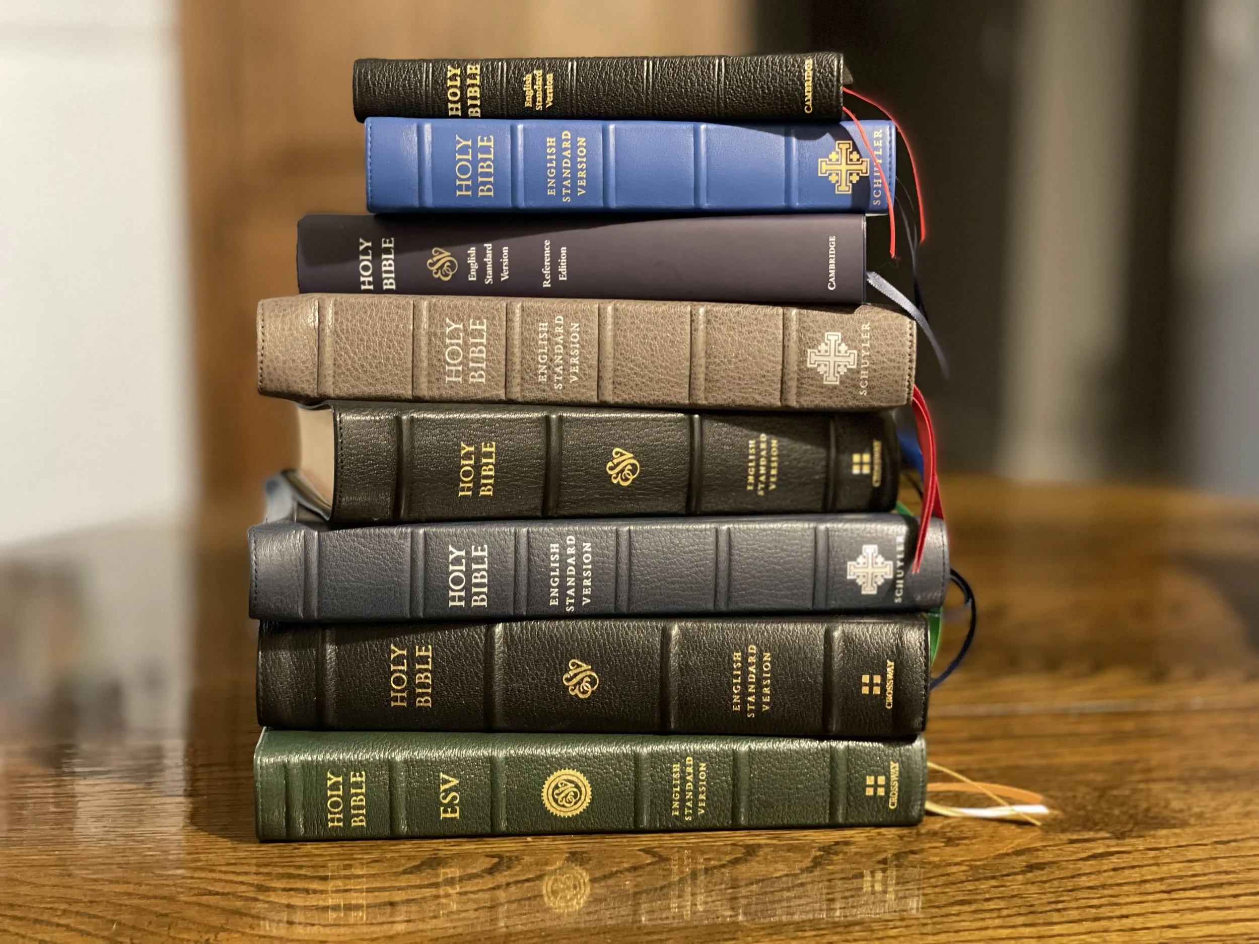 The Best ESV Bible On The Market Cam Hyde the-best-esv-bible-on-the-market-cam-hyde