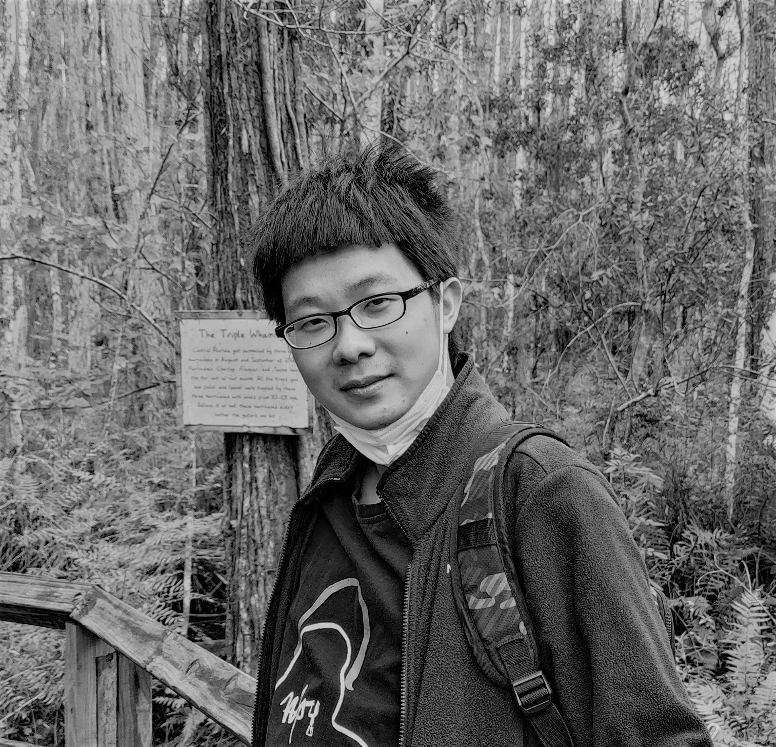 E-Board — Brown Motion Pictures