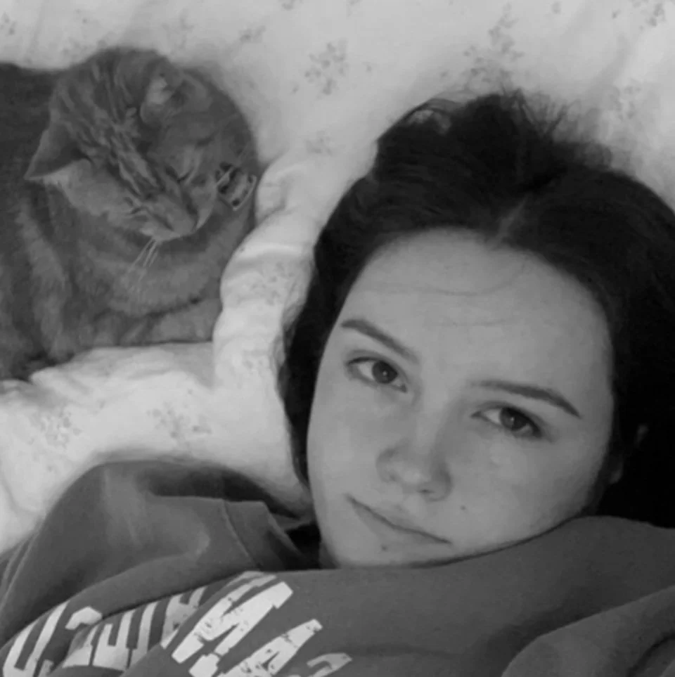 E-Board — Brown Motion Pictures