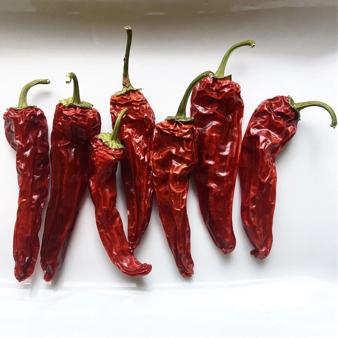 Shop — The Kitchen Garden