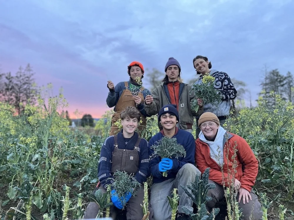 Join our Team — The Kitchen Garden