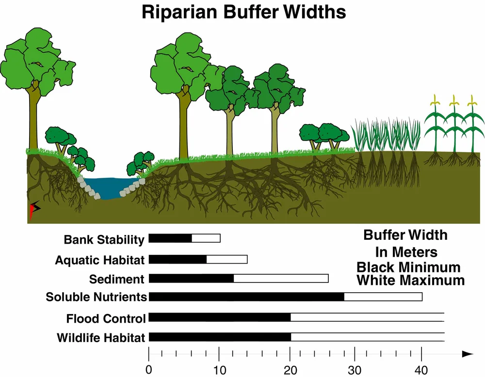 Riparian Destruction — Spokane Riverkeeper