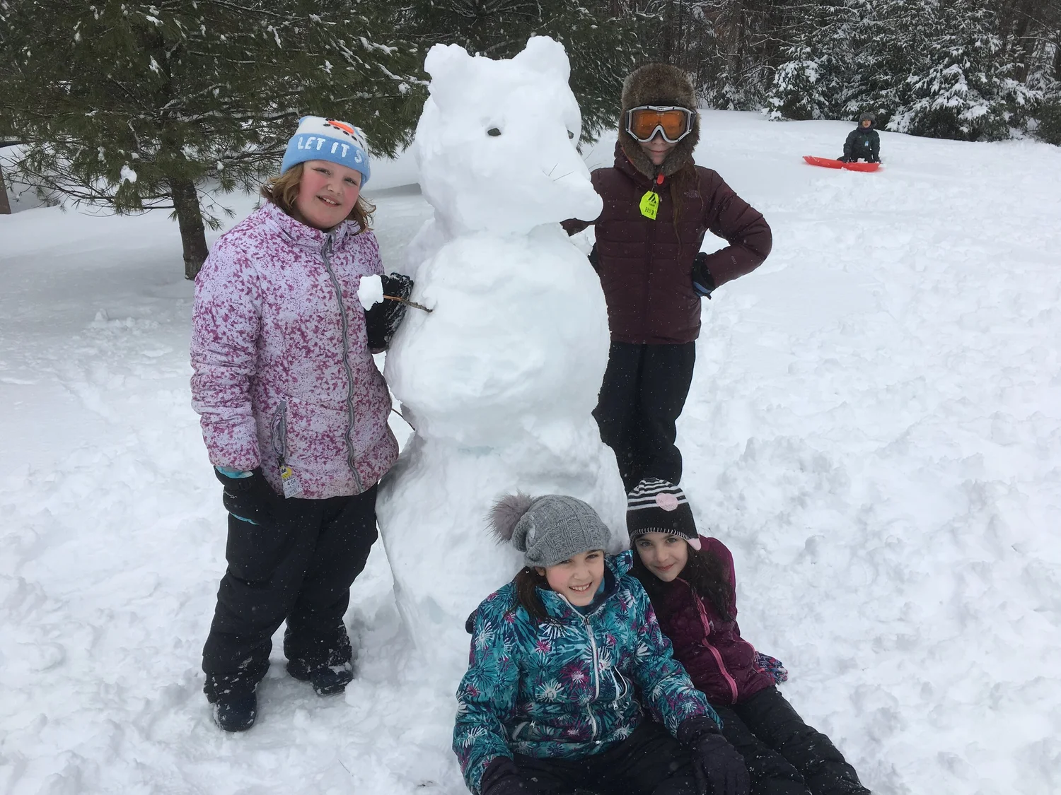 School Vacation Camps — Camp Beech Cliff