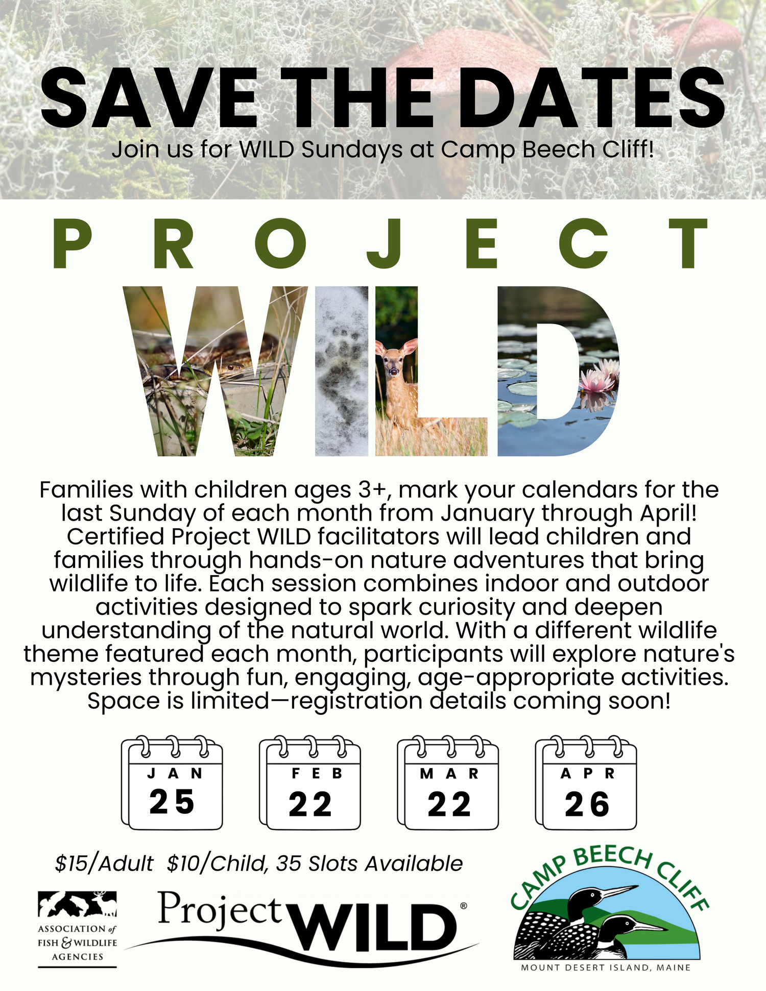Project Wild — Camp Beech Cliff
