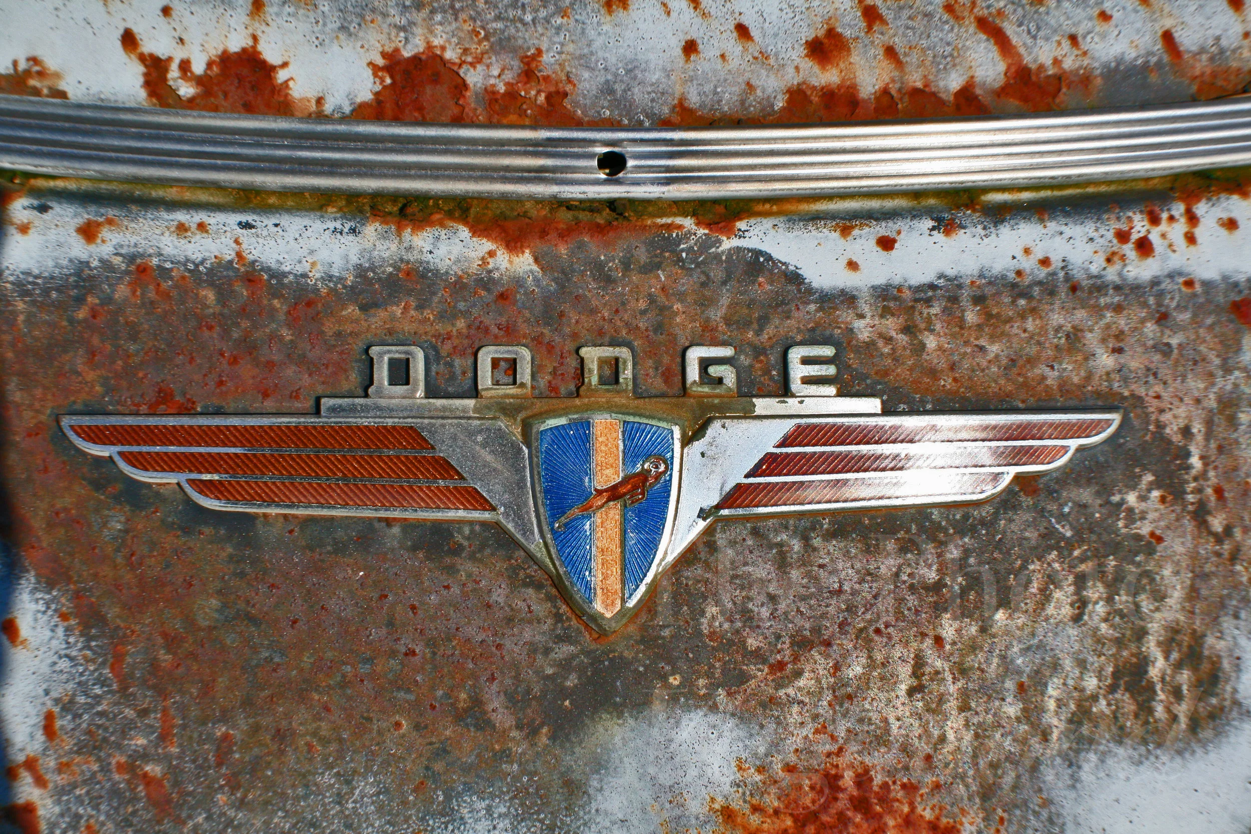 Auto Emblems — Deanna Szuter the Photo Vagabond