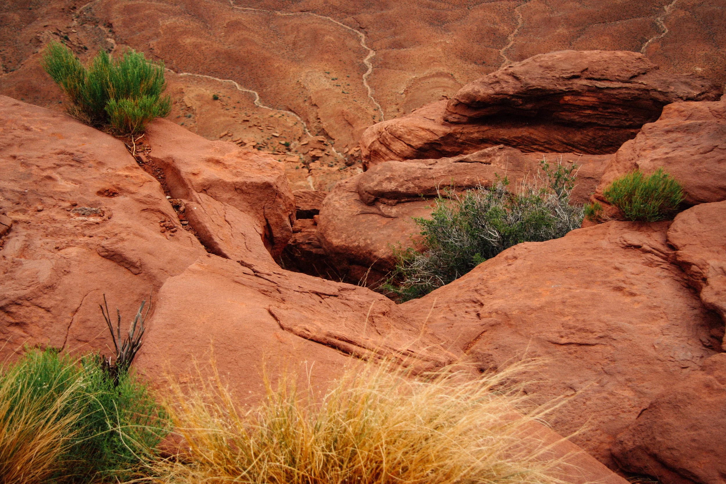 good medicine, moab, mormons: travel notes — of sedge & salt