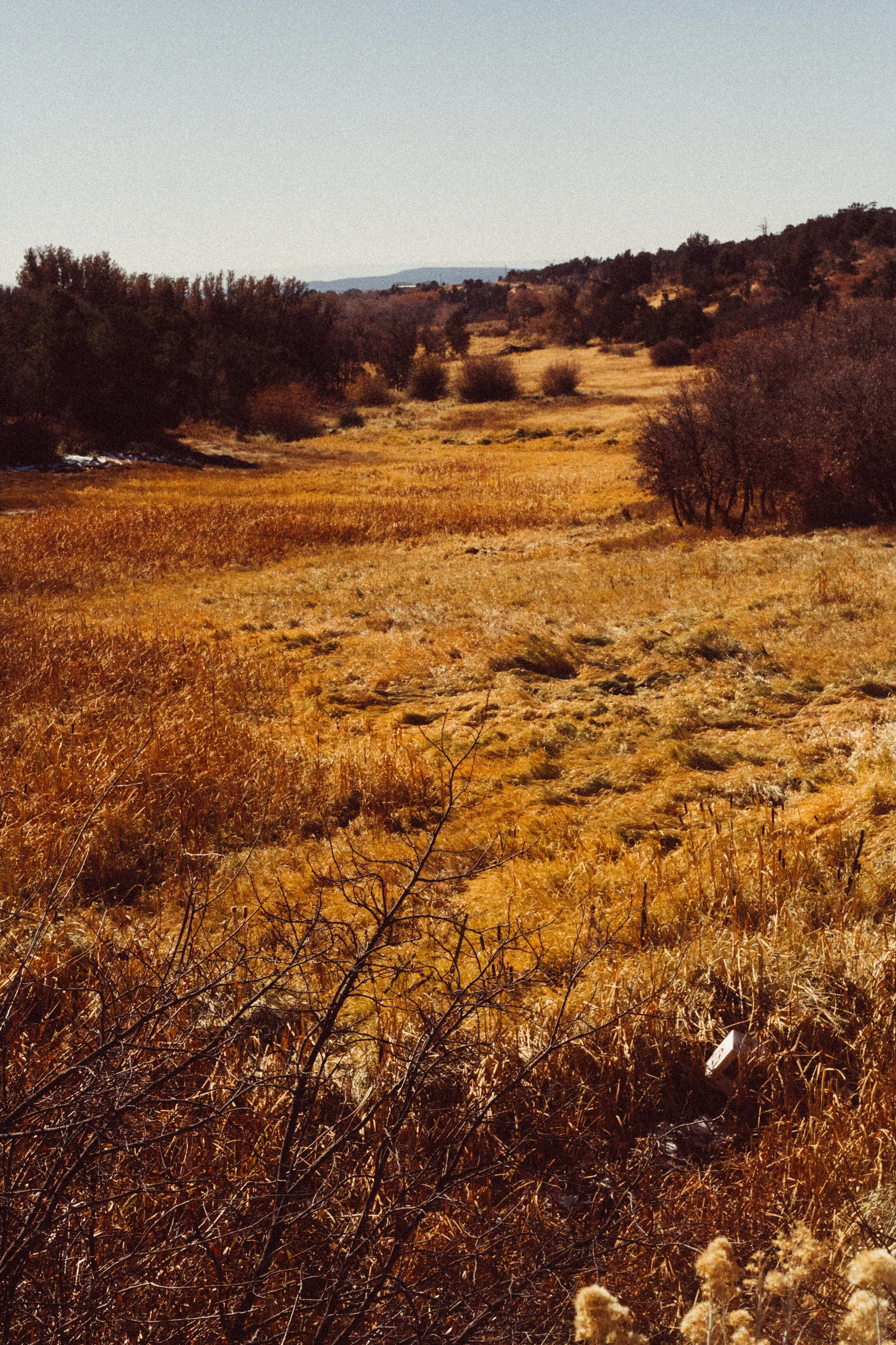 Fall on the road in the west, Camas and Wapato planting, Piñon Pine nut ...