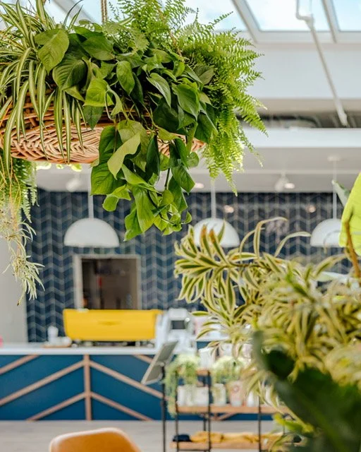 Enhancing People’s Lives Through Spacial Transformations with Kristie ...