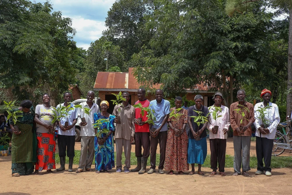 Mvule Tree Planting Program | Kibo Group