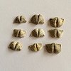 TXFossils