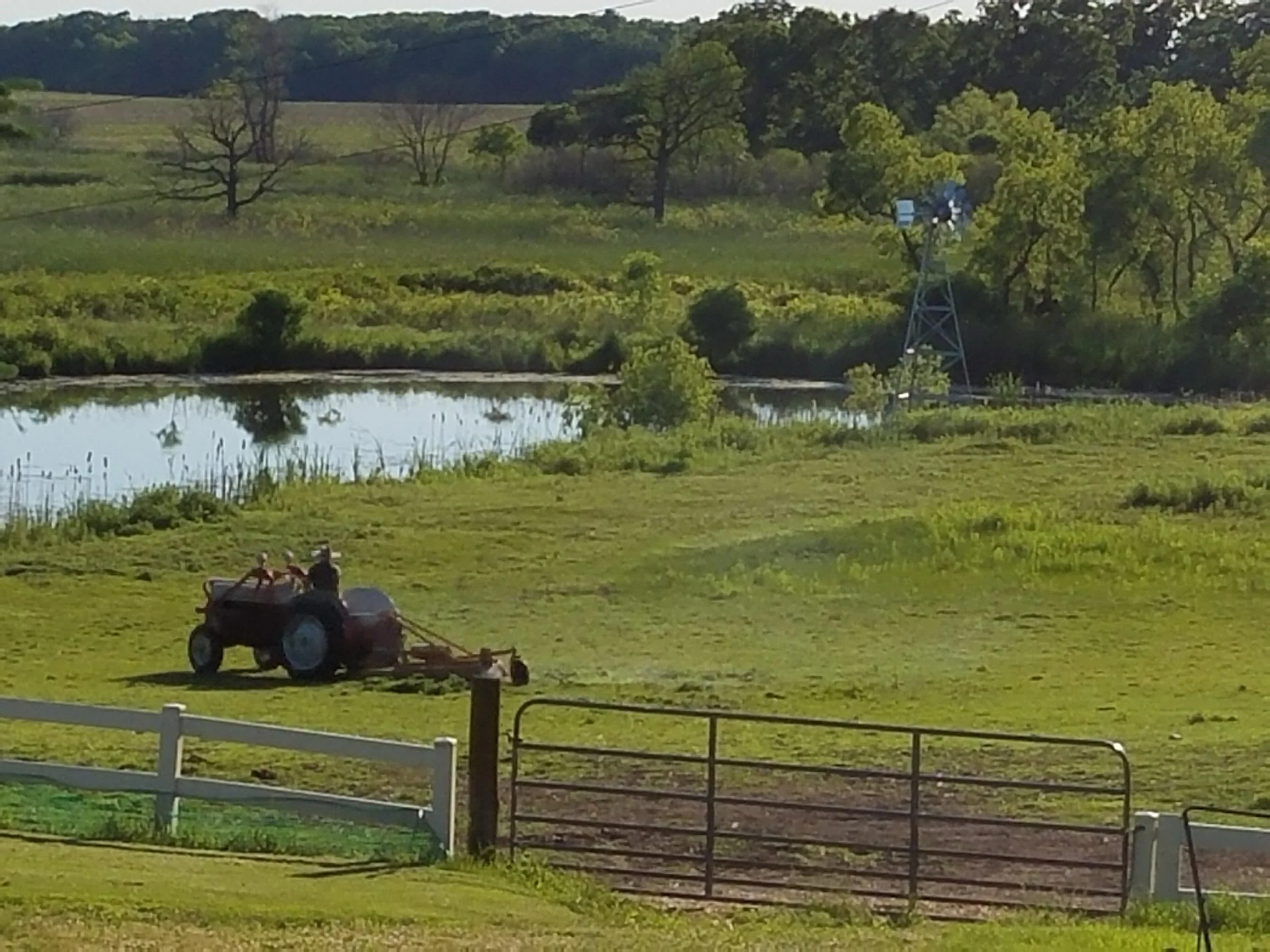 Brown Dog Farm-Nurturing Art and Soil in WI