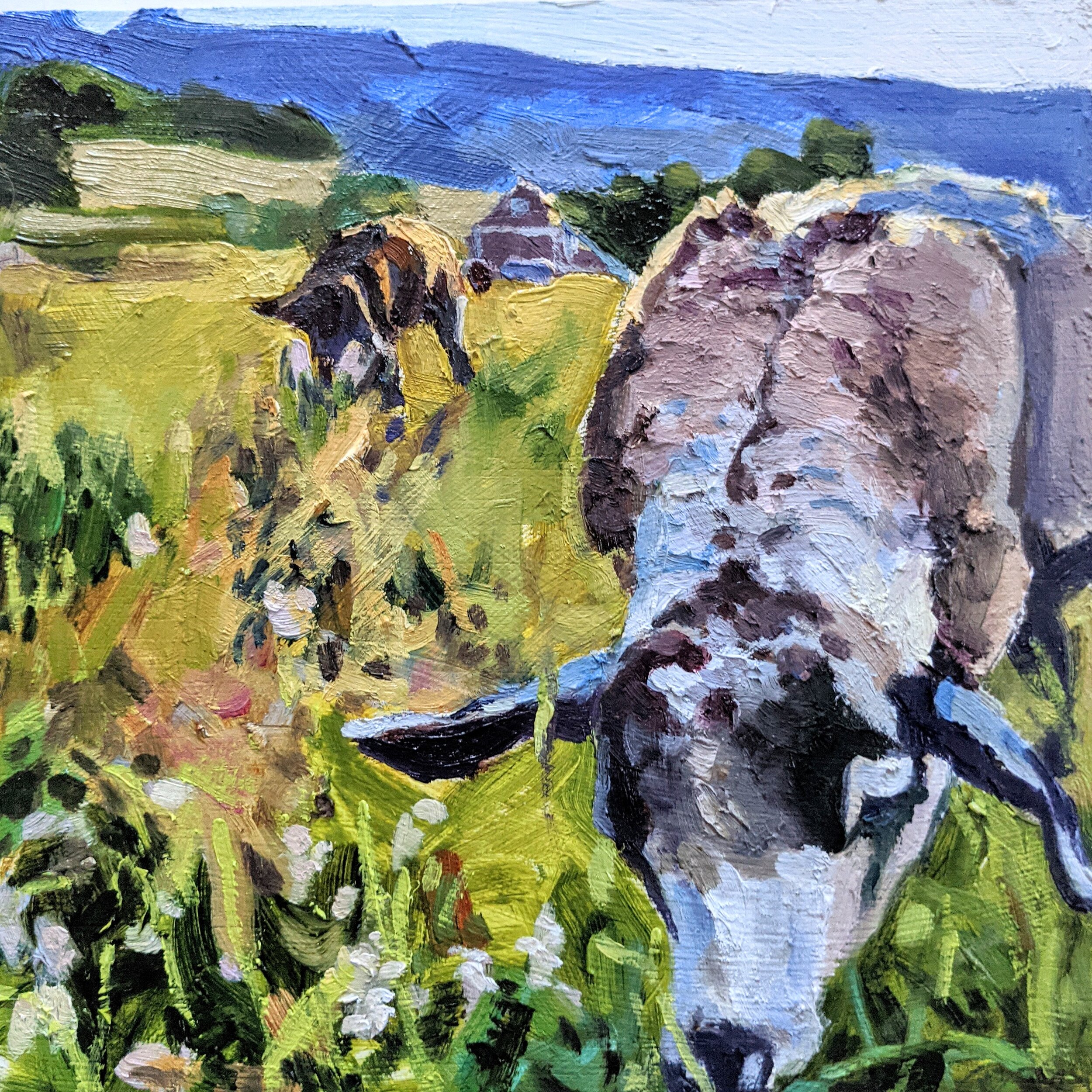 Brown Dog Farm — Gallery-Livestock Conservancy Series