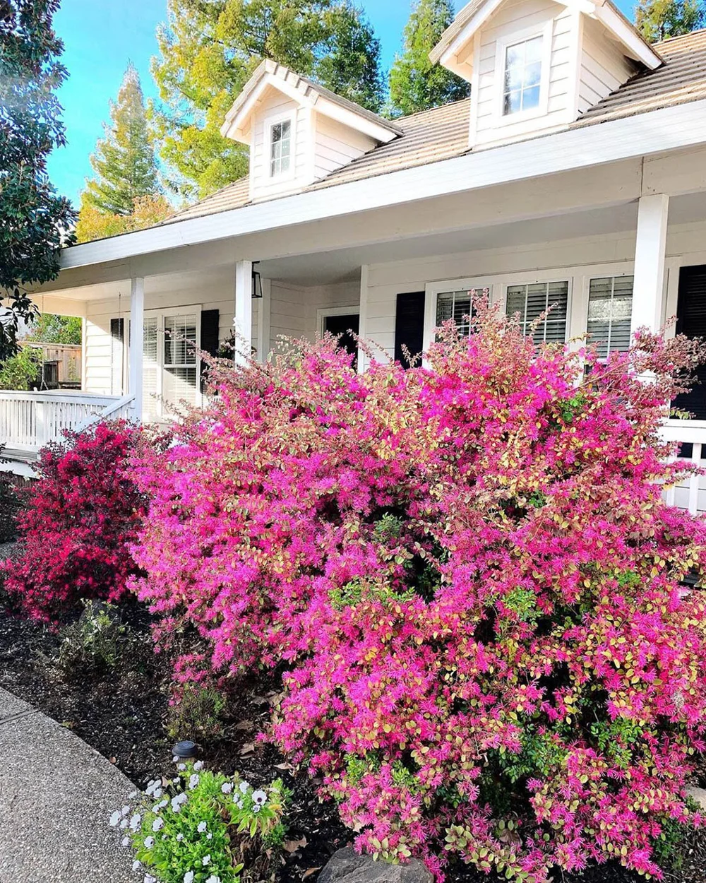 Beautiful Photography Location in El Dorado Hills, CA to Rent by the ...