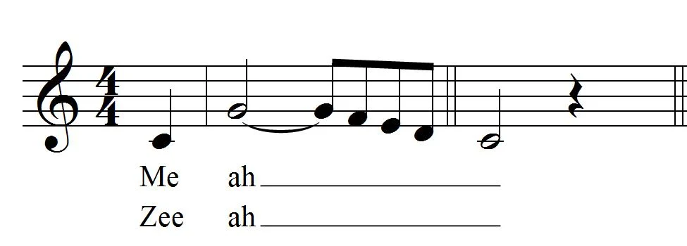 The Value of Teaching Vowels to Your Children's Choir | Ashley Danyew