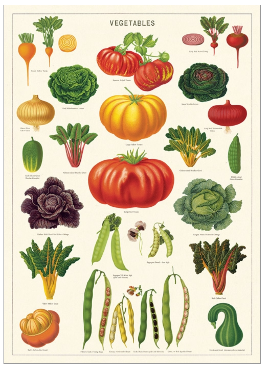 Posters — Sesame and Lilies