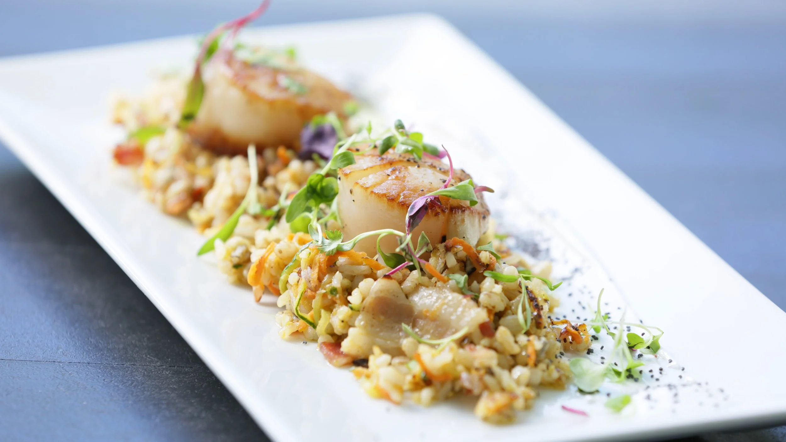 Gallery — — Nine One Five