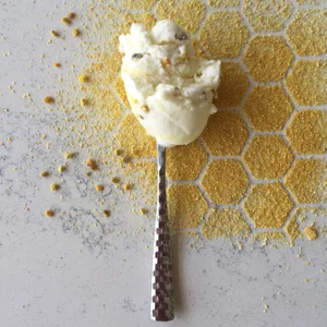 GELATO — Dolce Neve Gelato