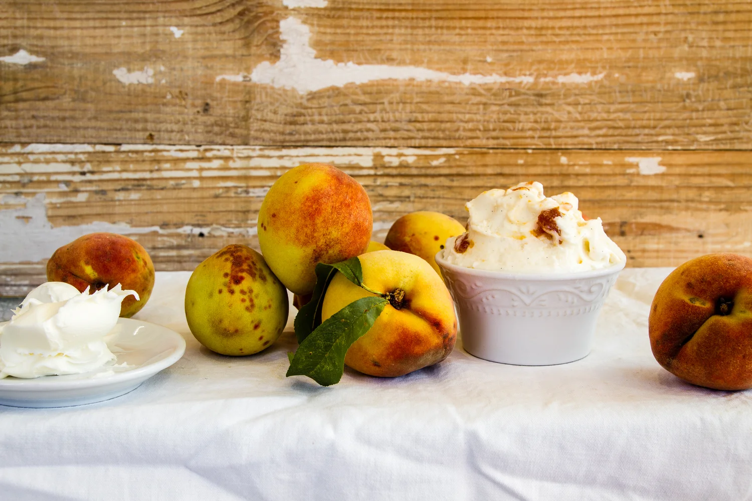 GELATO — Dolce Neve Gelato