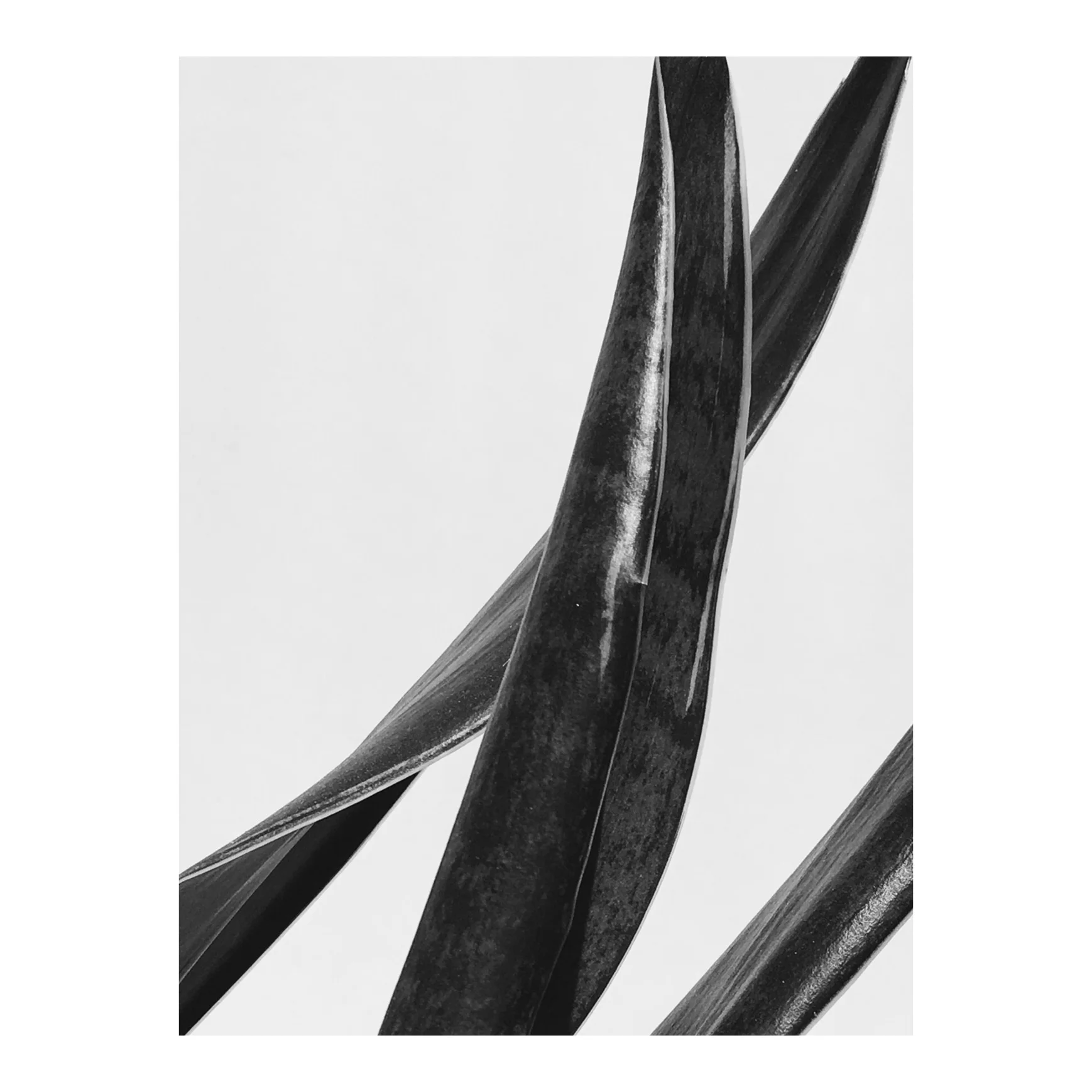Nathan Linkous Studio