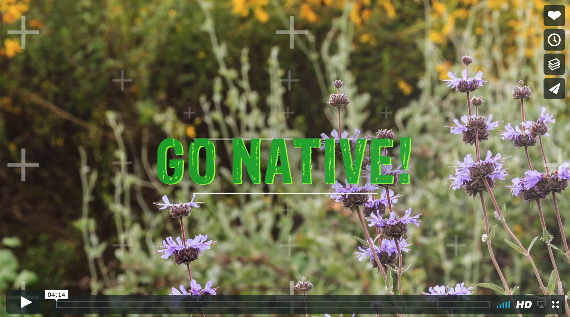 New CNPS-SD Internet TV Show- Go Native! — San Diego Chapter