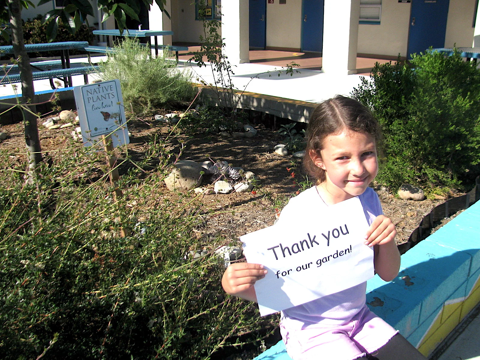 Update on the Ocean Beach Elementary School Ethnobotany Garden - San ...