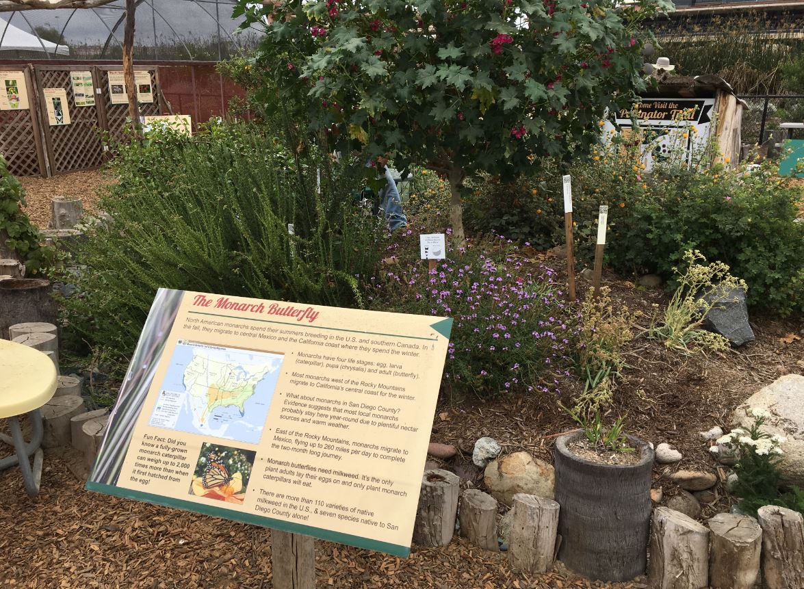 The Pollinator Pathway–Providing Nature’s Finest Candy! - San Diego ...