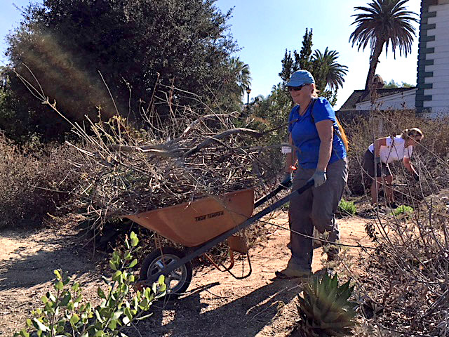 Park Champions and Park Staff Help with Preparing the Old Town Native ...