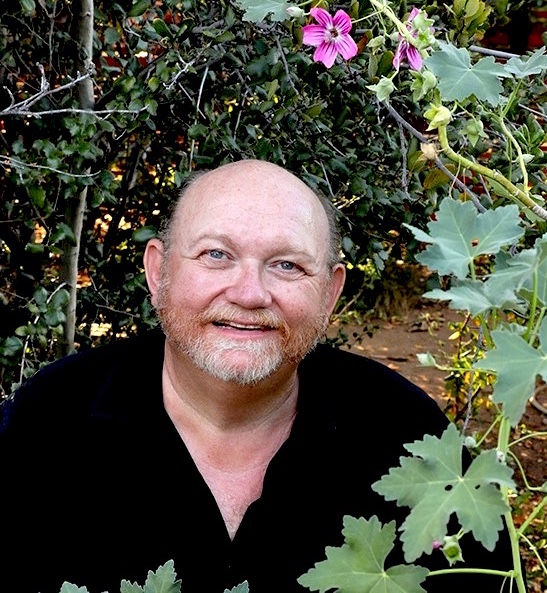 How to Keep Your California Native Garden Long-lasting: A Brief Q & A ...