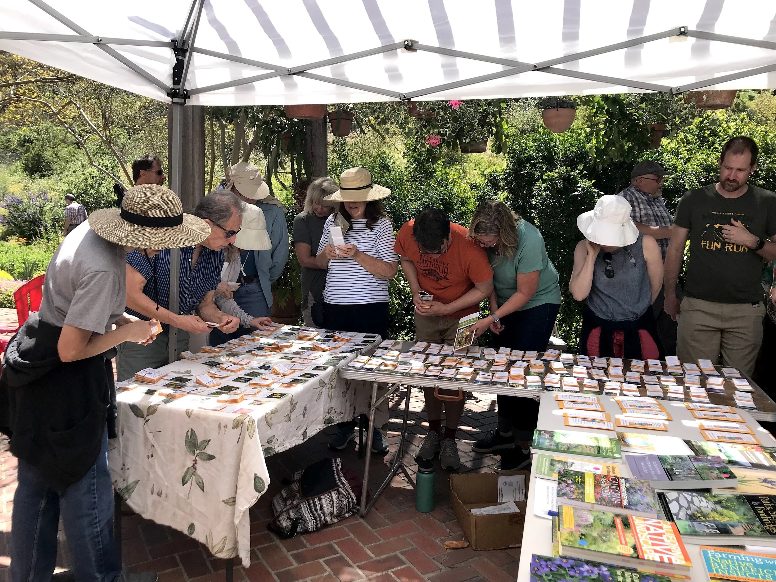 CNPS-SD Seed and Bulb Team's Seed Sorting Party — San Diego Chapter