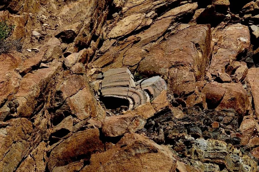 Jacumba Mountains - San Diego chapter - CNPS