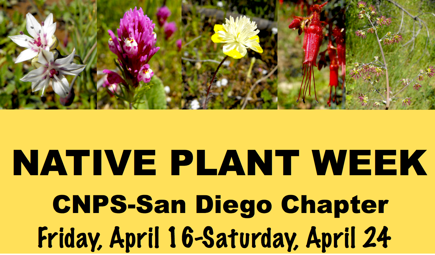 Upcoming Events — California Native Plant Society-San Diego Chapter