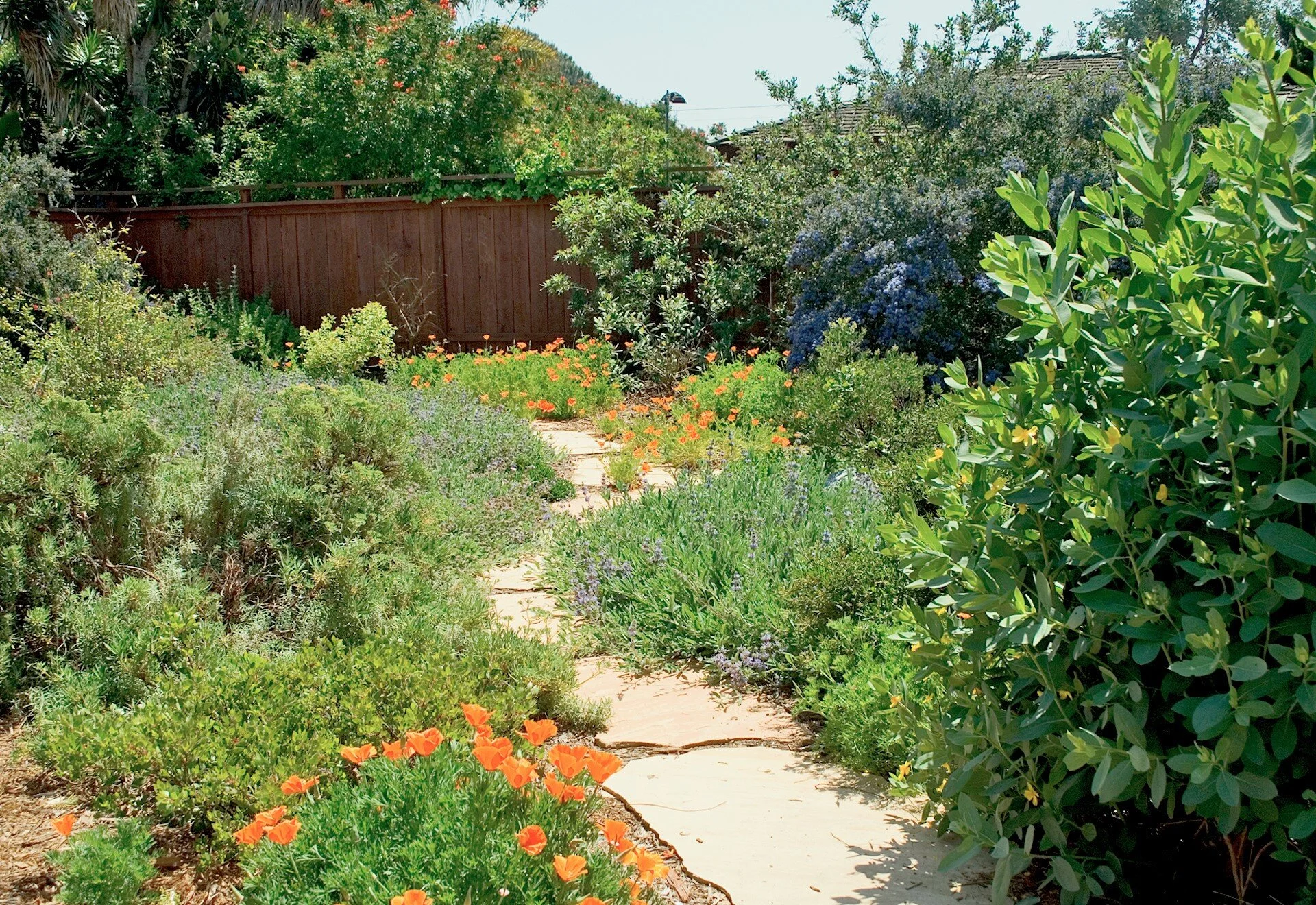 The Problems with “Locally Native” - San Diego chapter - CNPS