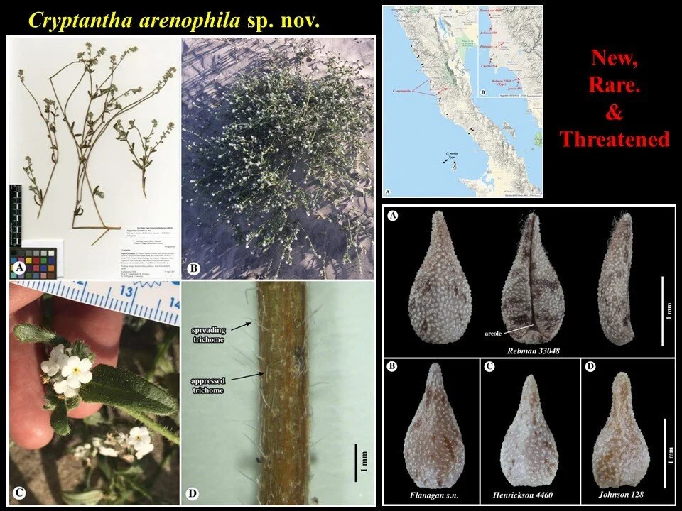 Upcoming Events — California Native Plant Society-San Diego Chapter