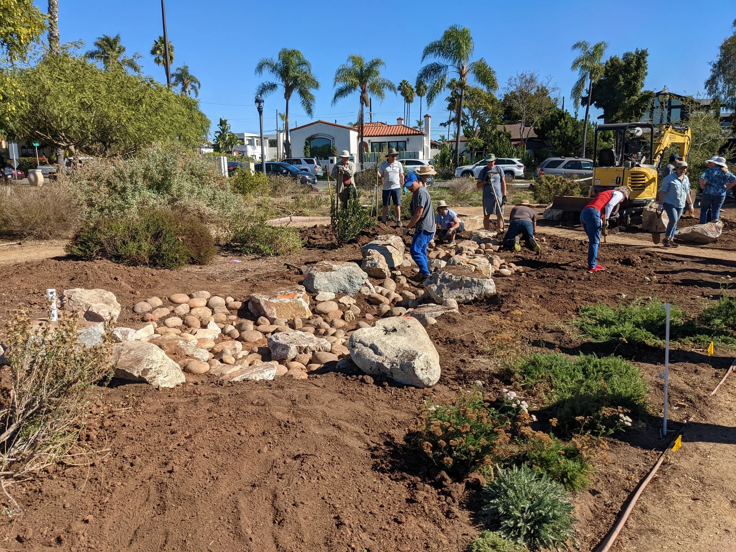 We Built a Dry Stream Bed in Bird Park! - San Diego chapter - CNPS