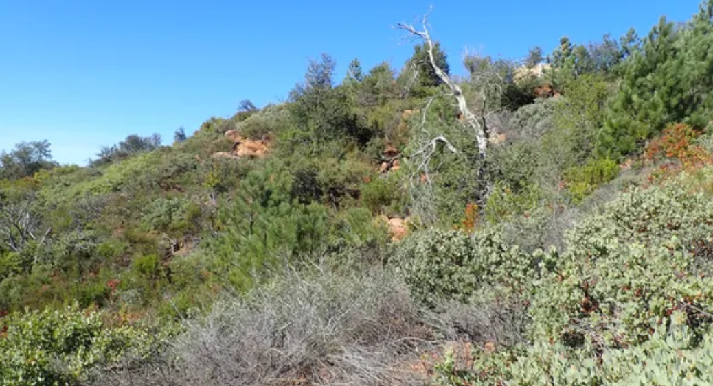 Field Trip: William Heise County Park Oak Canyon Trail & Cedar Creek ...