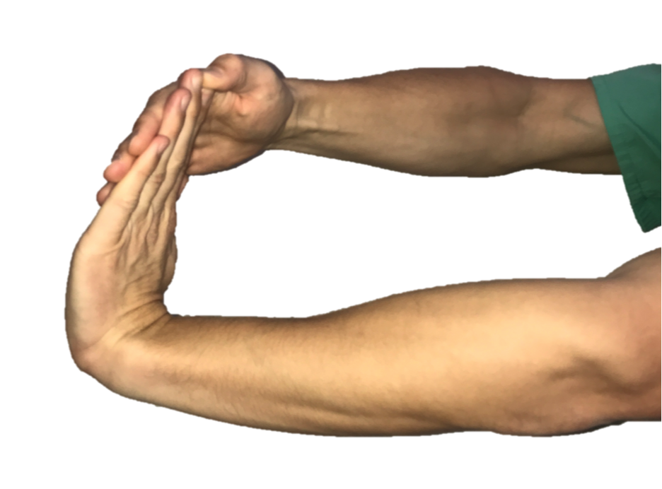 Medial Epicondylitis - Golfer's Elbow - Raleigh Hand Surgery — Joseph J ...