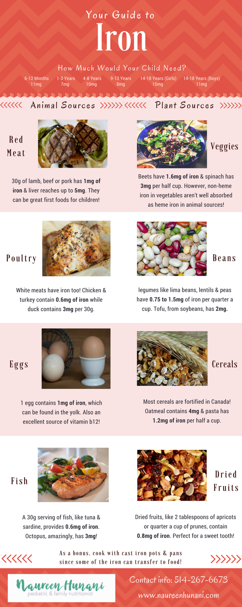 All you need to know about iron — Naureen Hunani Family Nutritionist ...