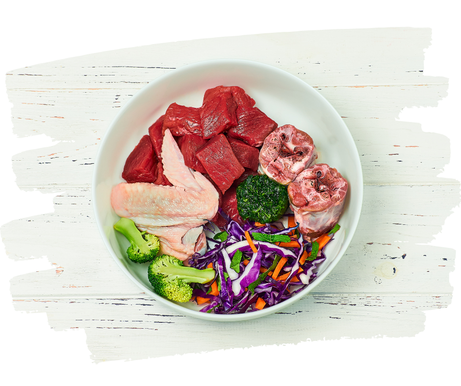 Balanced Diet Guide for Dogs | Be The Boss Dog Training