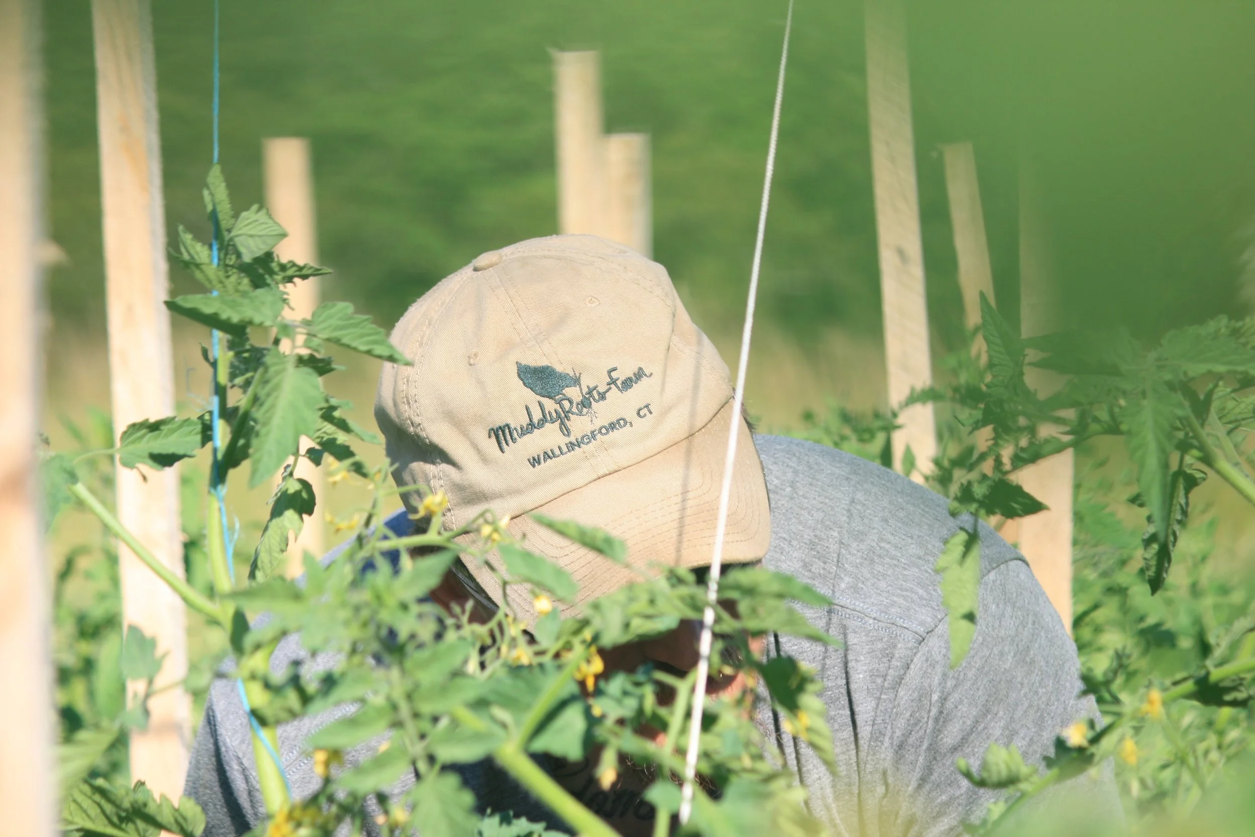 Muddy Roots Farm, LLC