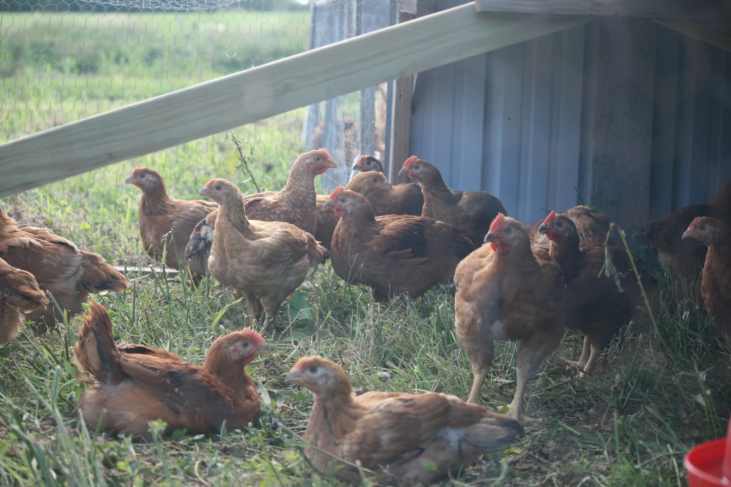 Muddy Roots Farm, LLC