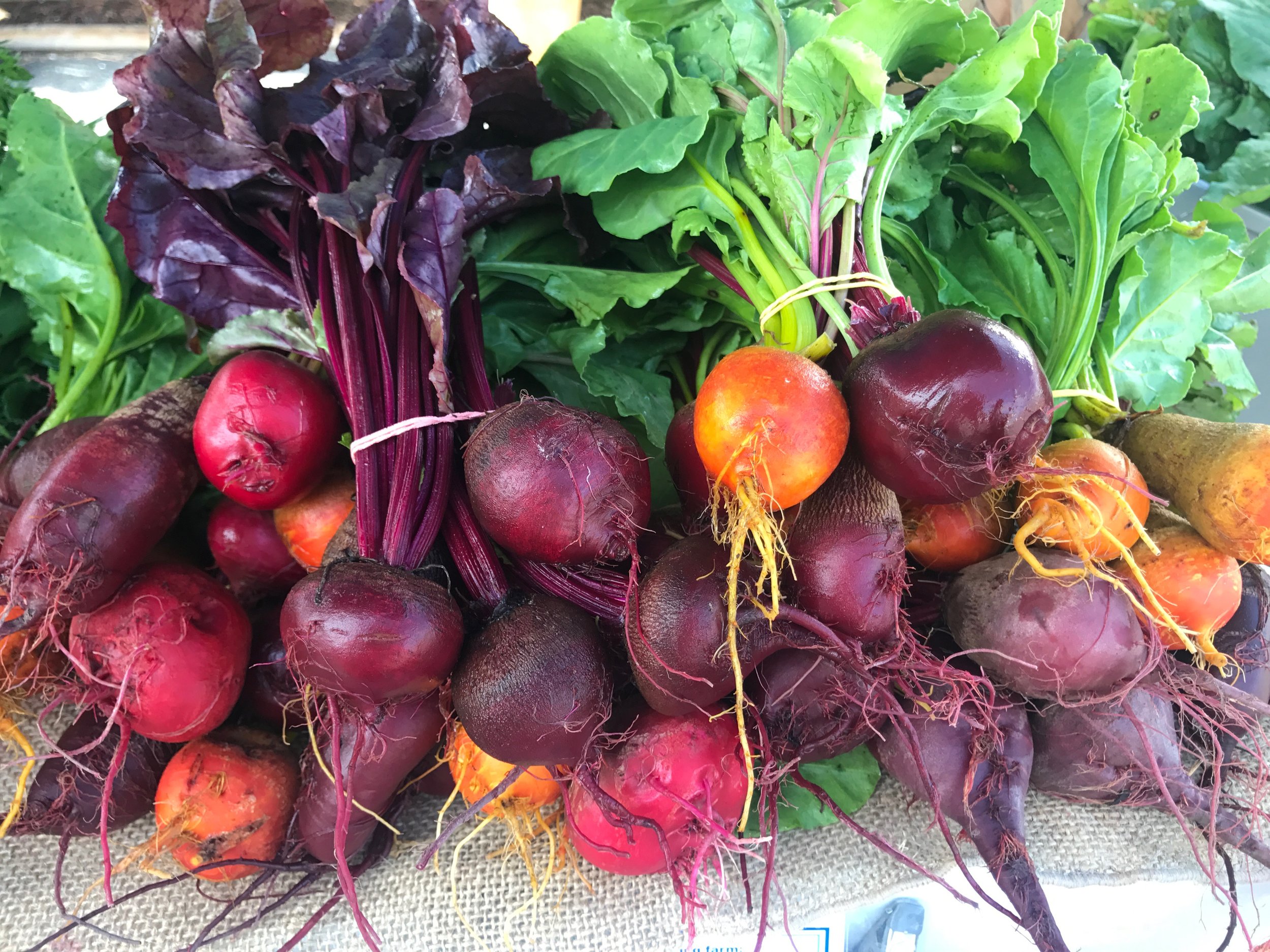 Vegetables — Muddy Roots Farm, LLC