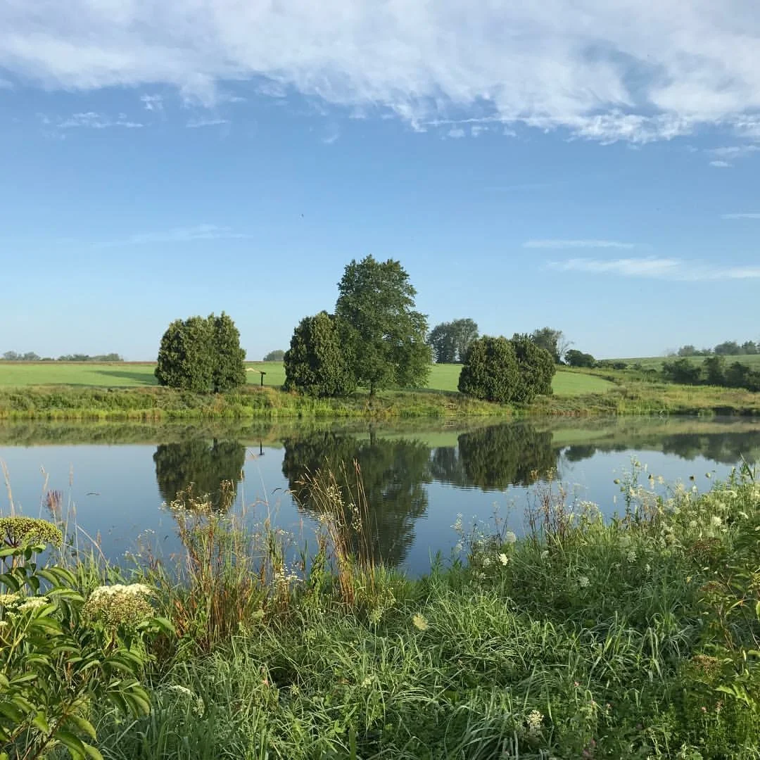 Muddy Roots Farm, LLC