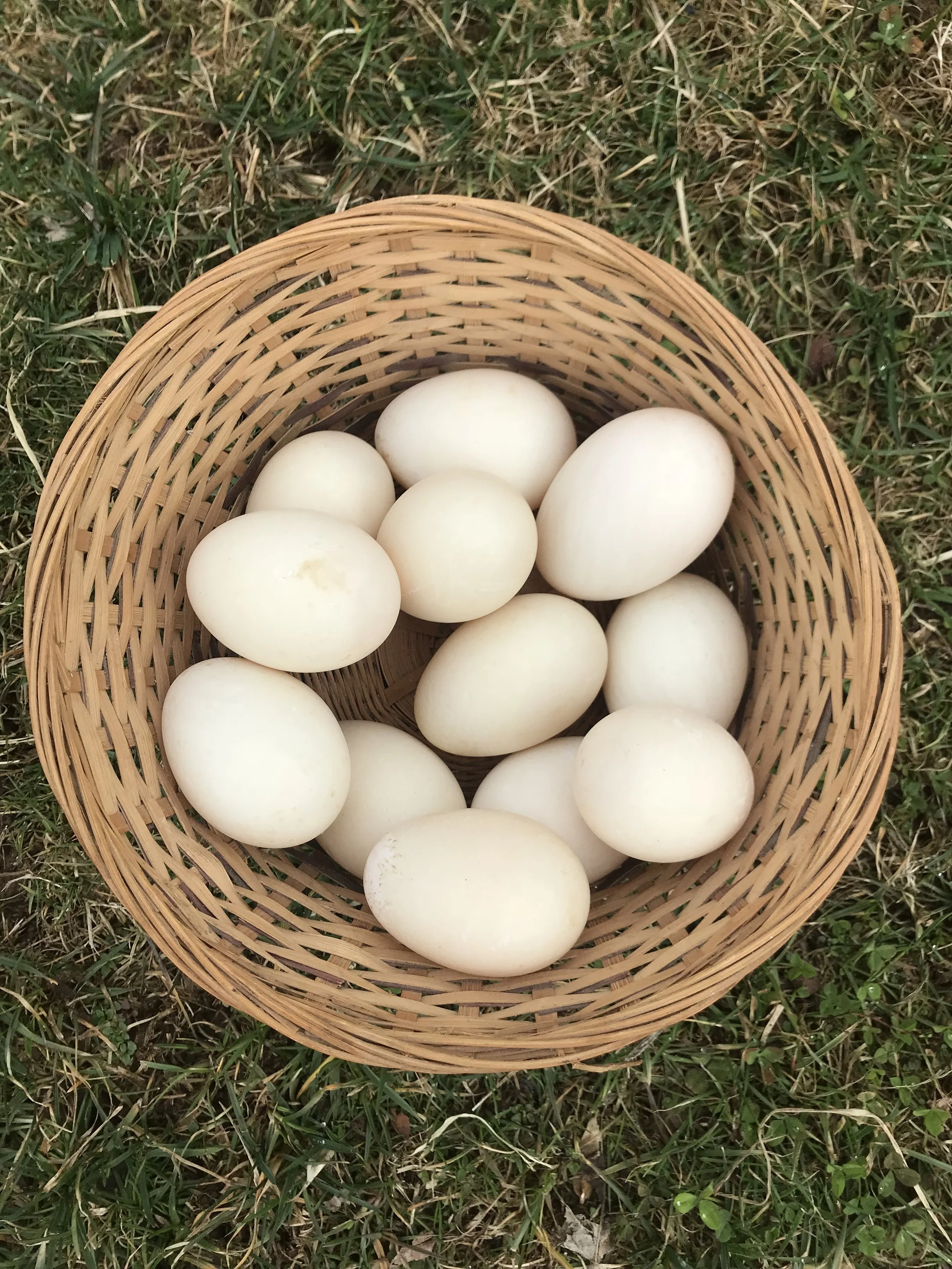 Muddy Roots Farm, LLC