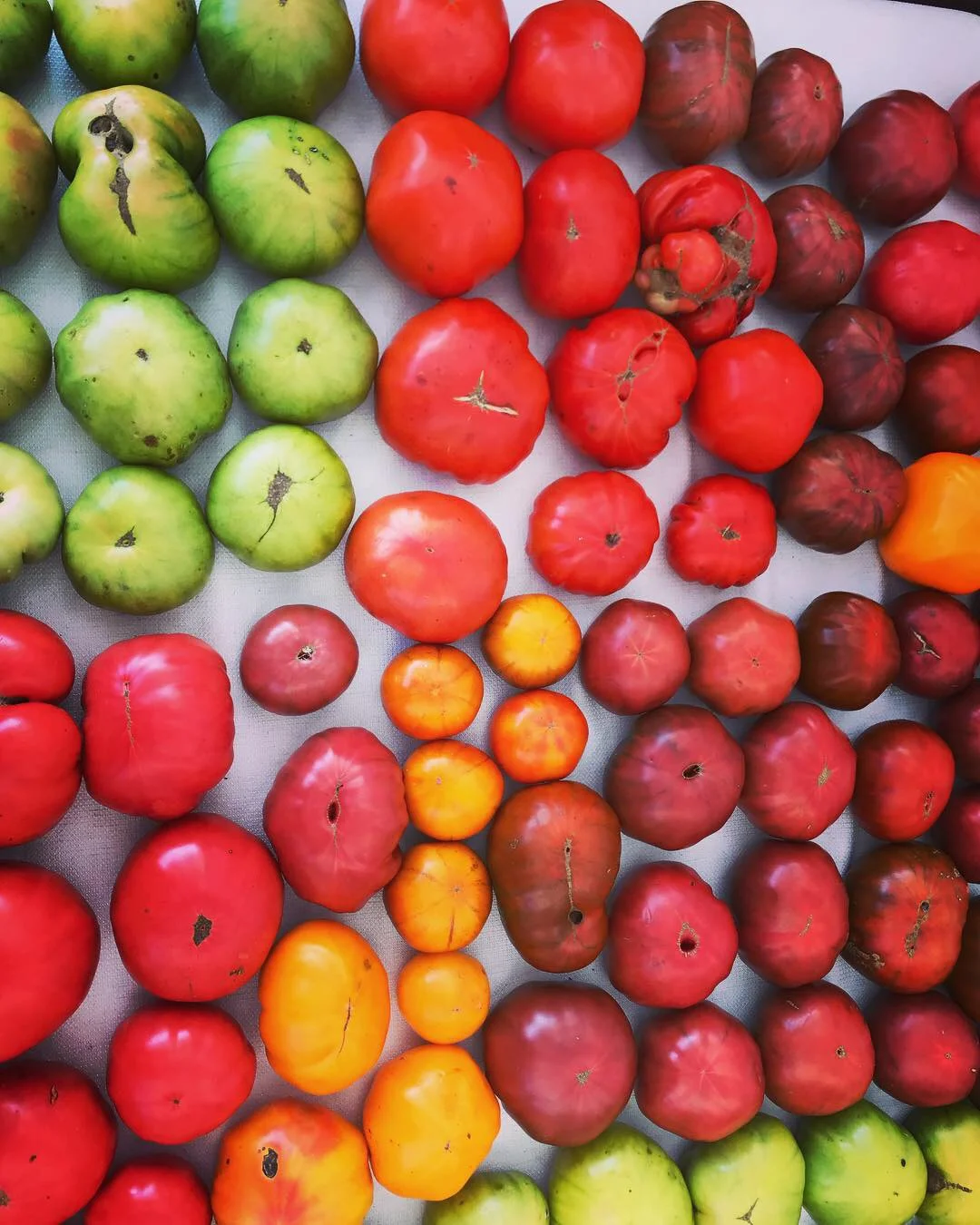 Muddy Roots Farm, LLC