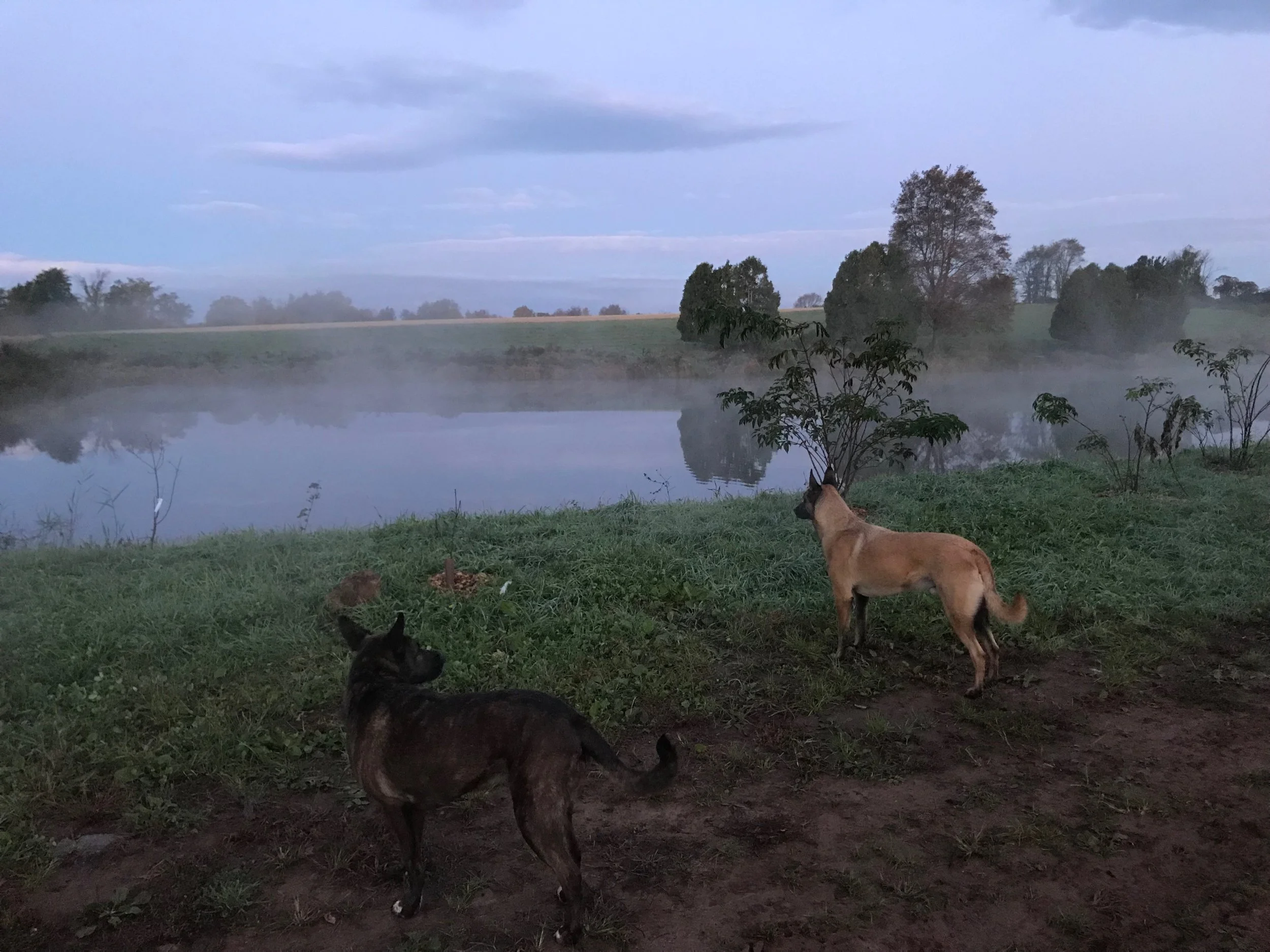 Muddy Roots Farm, LLC