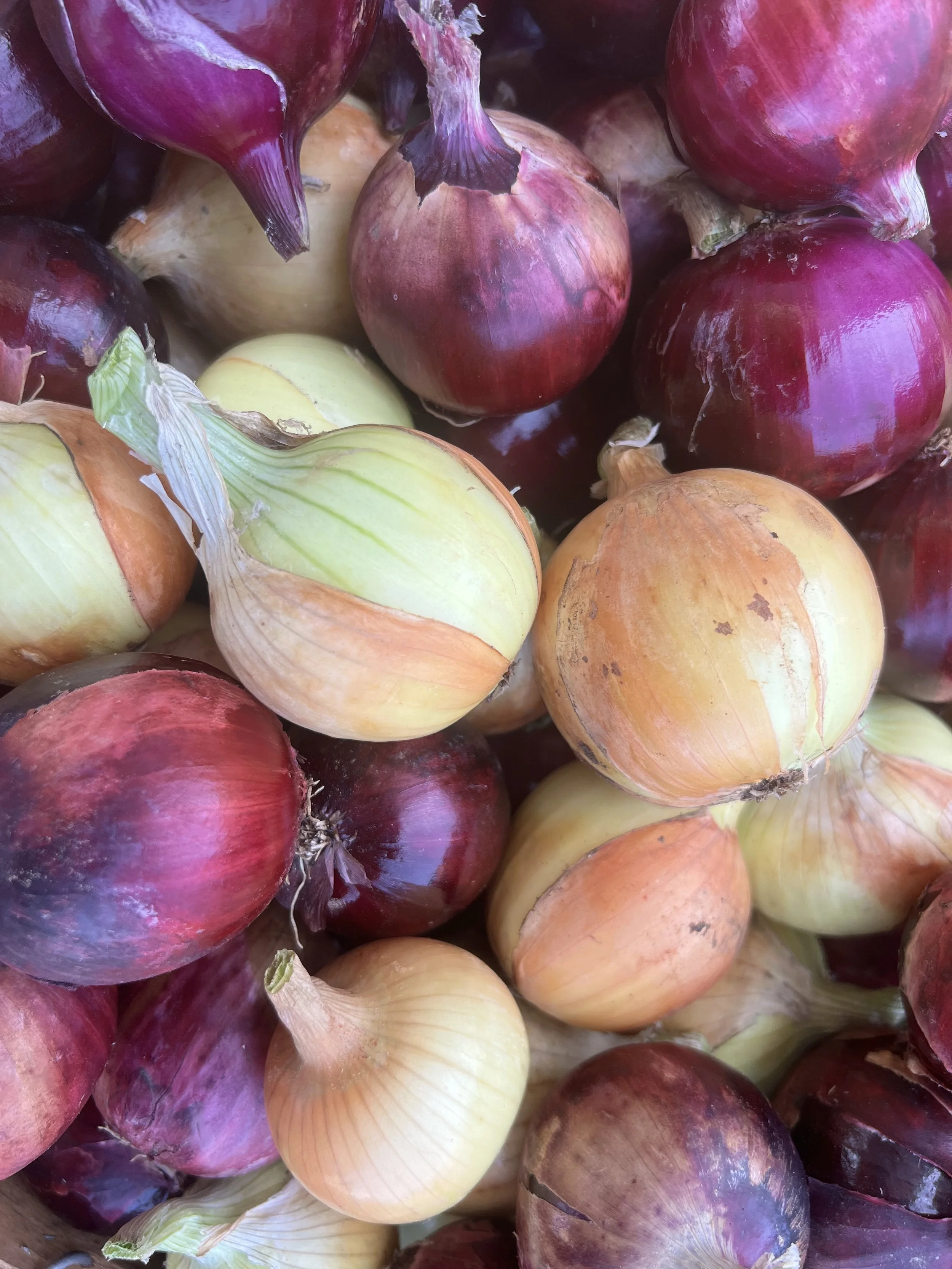 Muddy Roots Farm, LLC