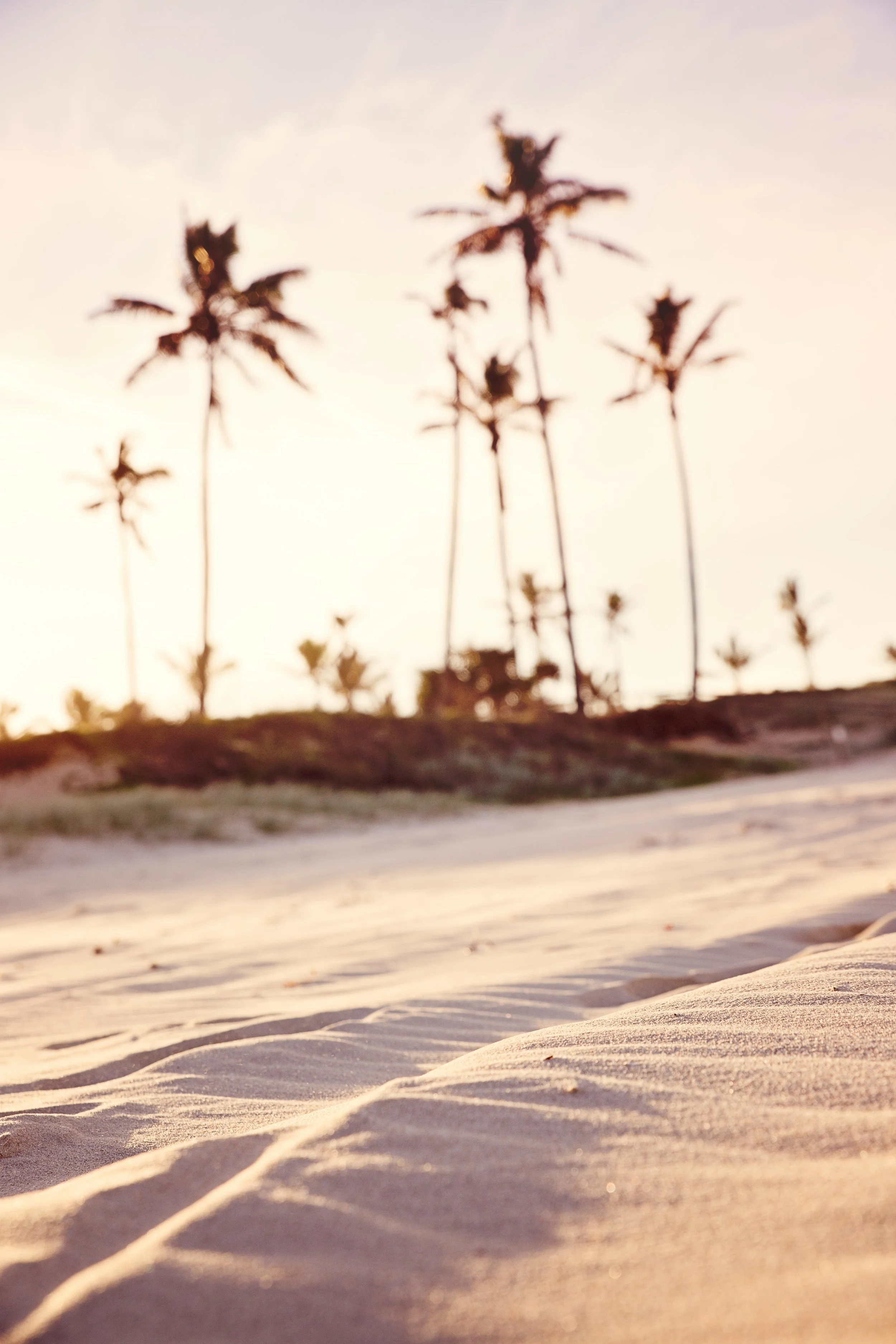 What is Beach Sand and Its uses — Sikes Concrete