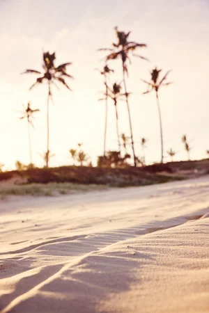 What is Beach Sand and Its uses — Sikes Concrete
